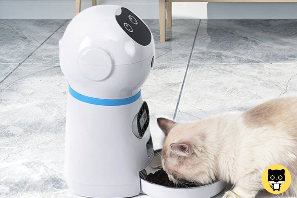 Cat Feeders - Benefits & Drawbacks - Feed Stray Cats
